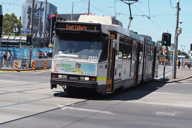 Melbourne Shore Excursion: Private City Tour 5 Hours - Comfort and Convenience: What Makes It Stand Out