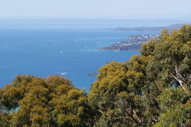 Melbourne Shore Excursion, Wine Region, Wildlife, Shared Tour - FAQ