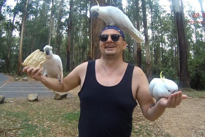 Melbourne Sky High - Private Bush Tour - Key Points