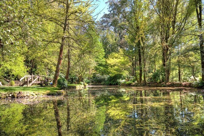 Melbourne Sky High - Private Bush Tour - The Sum Up: Is It Worth It?