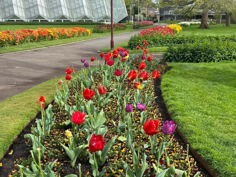 Melbourne: Sovereign Hill, Eureka Centre & Melbourne Skydeck - Who Should Consider This Tour?