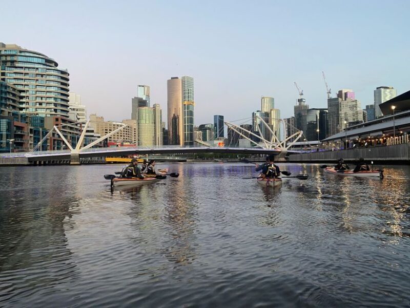 Melbourne: Sunset Kayak Tour with Dinner - Authentic Insights from Reviewers