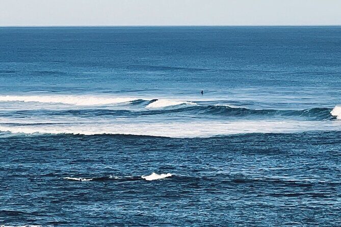 Melbourne: The Great Ocean Road Private Tour - Final Thoughts