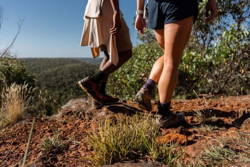 Melbourne to Adelaide: 2-Day Great Ocean Road Grampians Tour - Practical Details and What You Need to Know