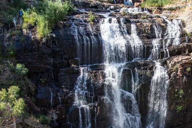 Melbourne to Adelaide 3-Day Great Ocean Road & Grampians Tour - Who Is This Tour Best For?