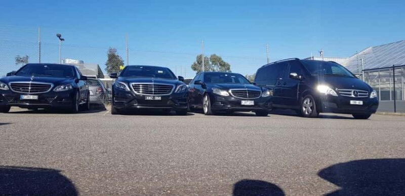 Melbourne to Adelaide Road Trip via Great Ocean Rd - 11 pax - Introduction