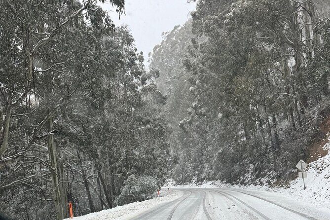 Melbourne: Ultimate Mt Baw Baw Snow Private Tour Experience. - The Itinerary in Detail
