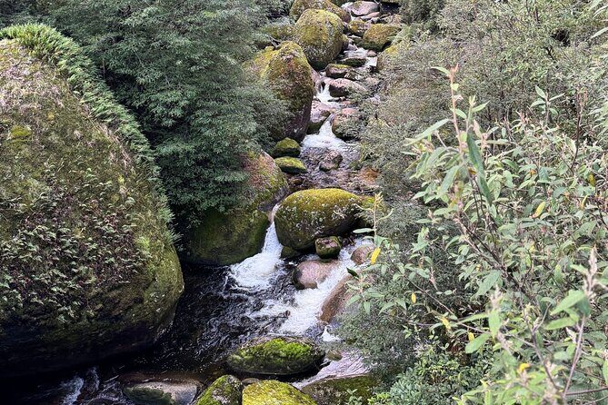 Melbourne: Ultimate Mt Baw Baw Snow Private Tour Experience. - The Sum Up