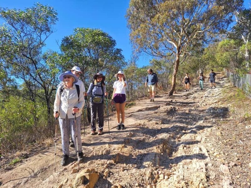 Melbourne: Walk the Yarra to Historic Fairfield Boathouse - Who Will Love This Tour?