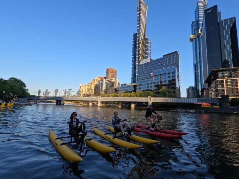 Melbourne: Yarra River Twilight Waterbike Tour - An In-Depth Look at the Yarra River Twilight Waterbike Tour