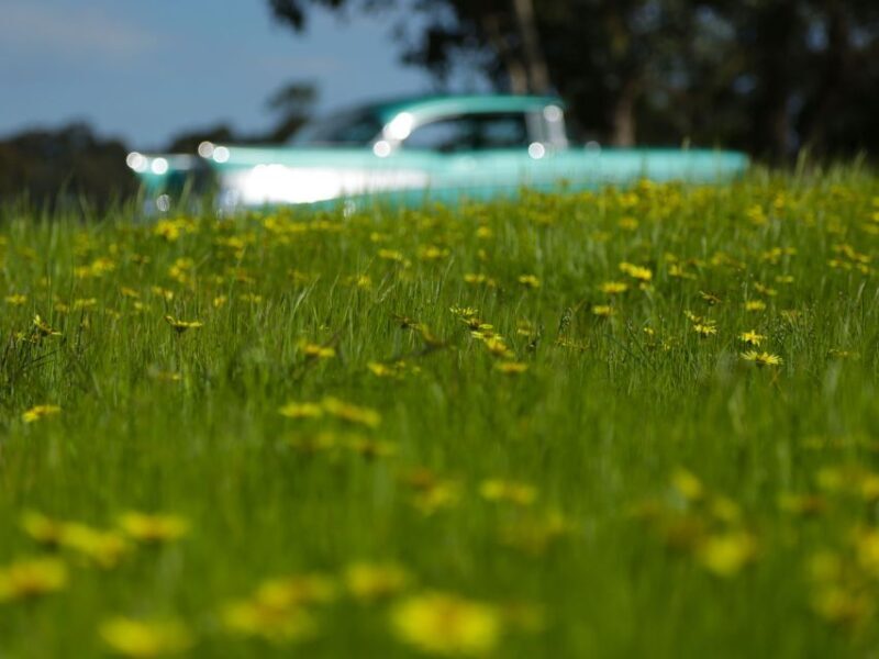 Melbourne: Yarra Valley Food & Wine Tour in a '56 Chevrolet - Lunch in Healesville