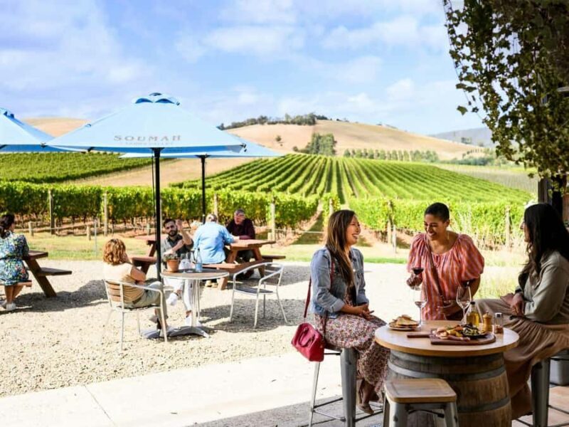 Melbourne: Yarra Valley Half-Day Wine Tour - How the Tour Works: An In-Depth Breakdown