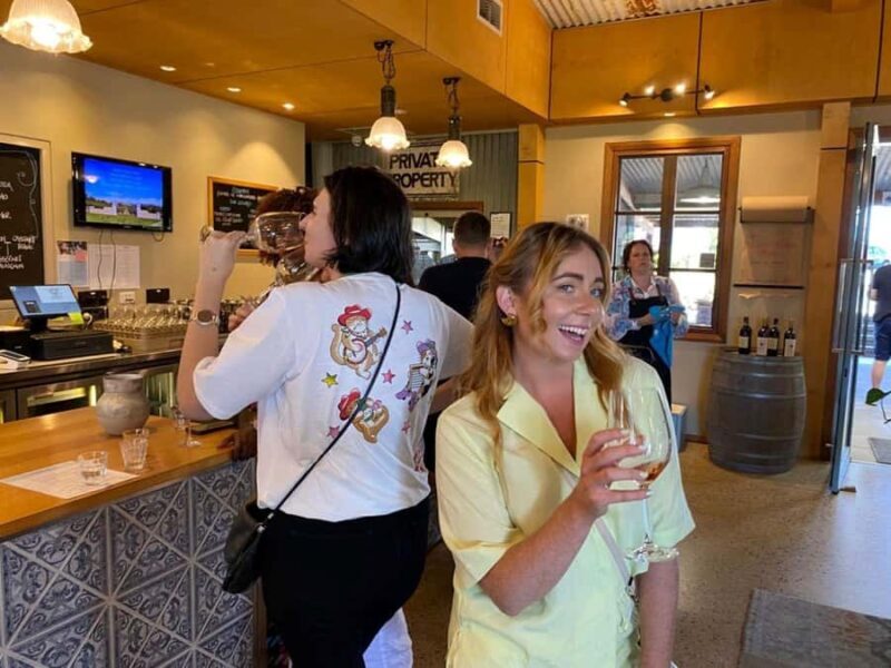 Melbourne: Yarra Valley Half-Day Wine Tour - Practical Considerations and Tips