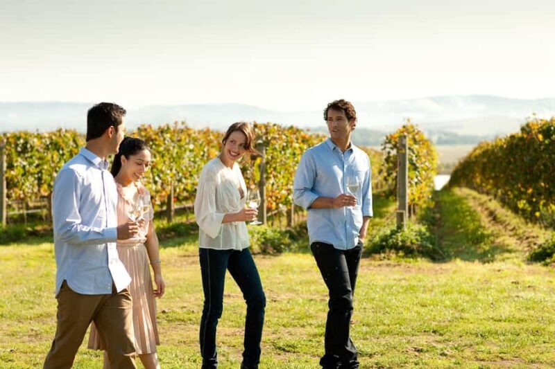 Melbourne: Yarra Valley Wine Bubbles & Kangaroos Tour - Practical Details