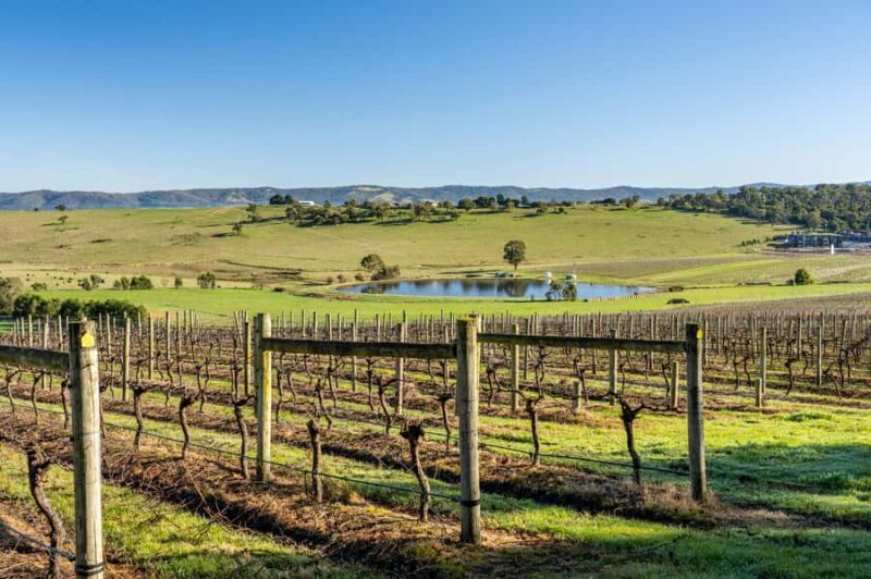 Melbourne: Yarra Valley Wine, Cider, Gin, Beer, & Choc Tour - Practical Details: Timing, Pacing, and Tips