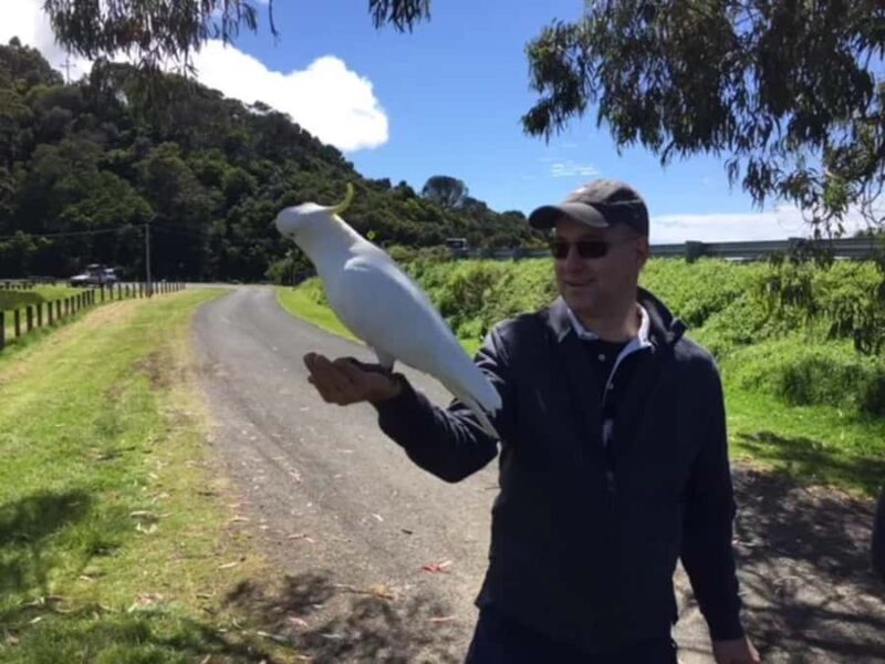 Melbourne: Yarra Valley Winery Private Tour with Lunch - Key Points