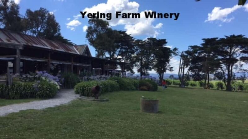 Melbourne: Yarra Valley Winery Private Tour with Lunch - What Makes This Tour Stand Out