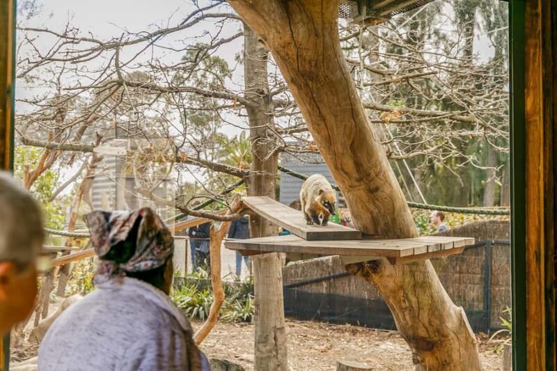 Melbourne Zoo: 1-Day Entry Ticket - Key Points