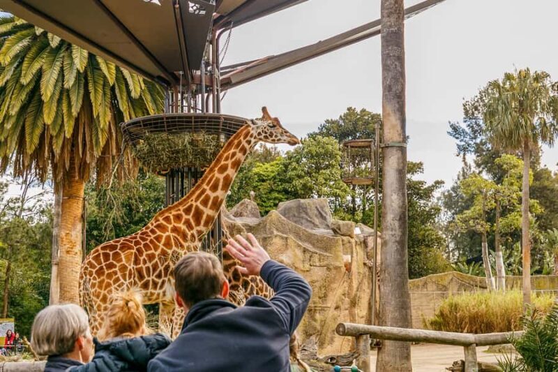 Melbourne Zoo: 1-Day Entry Ticket - What Makes Melbourne Zoo Stand Out?