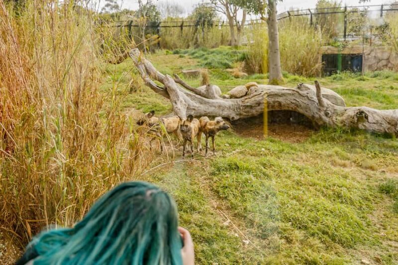 Melbourne Zoo: 1-Day Entry Ticket - Behind-the-Scenes & Upgrade Options