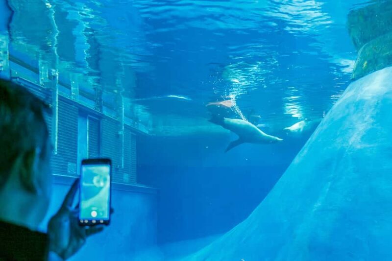 Melbourne Zoo: 1-Day Entry Ticket - The Overall Experience: Worth the Price?