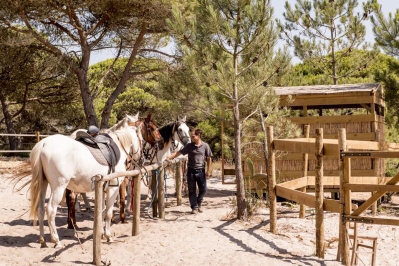 Melides: Horse Riding on the Beach with Wine Tasting - Starting Point and Logistics