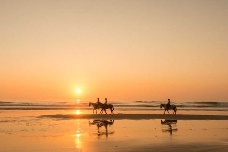 Melides: Horse Riding on the Beach with Wine Tasting - The Beach and Wildlife
