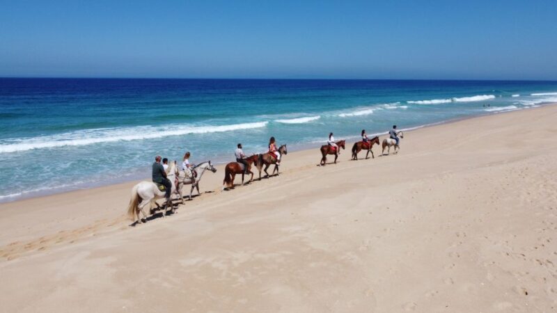 Melides: Horseback Riding on Melides Beach - Authentic Experiences from Reviewers