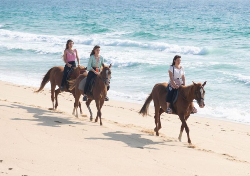 Melides: Horseback Riding on Melides Beach - Practical Tips for Your Ride