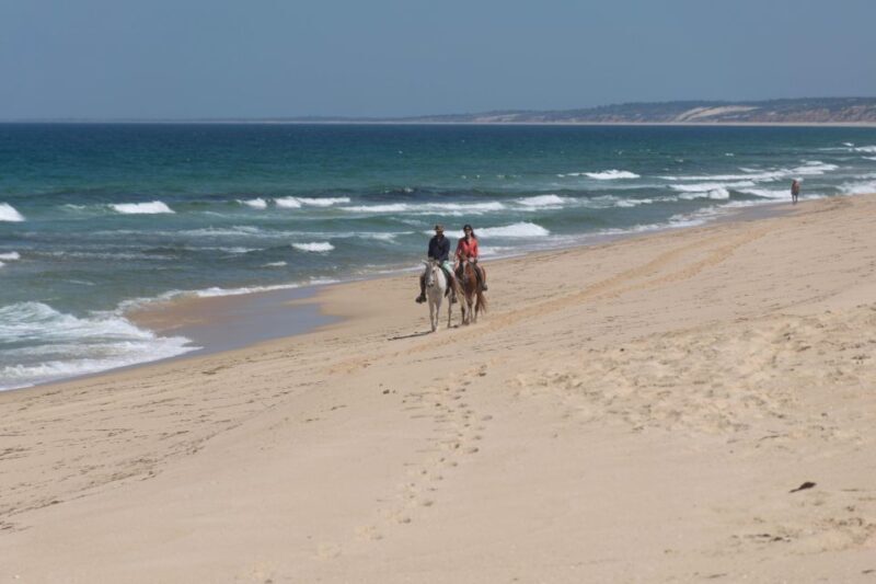 Melides: Horseback Riding on Melides Beach - Who Will Love This Tour?