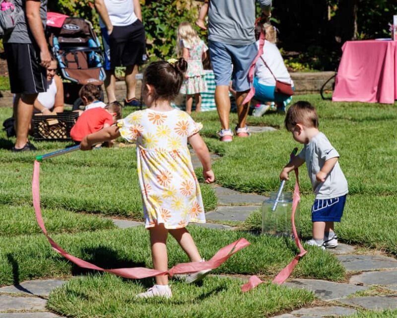 Memphis Botanic Garden Entry Ticket - Exploring the Memphis Botanic Garden: A Detailed Review