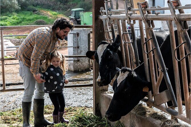 Menorca: Cheesemaking and Farm-Fresh Product Tasting - Cheese Tasting and Local Products