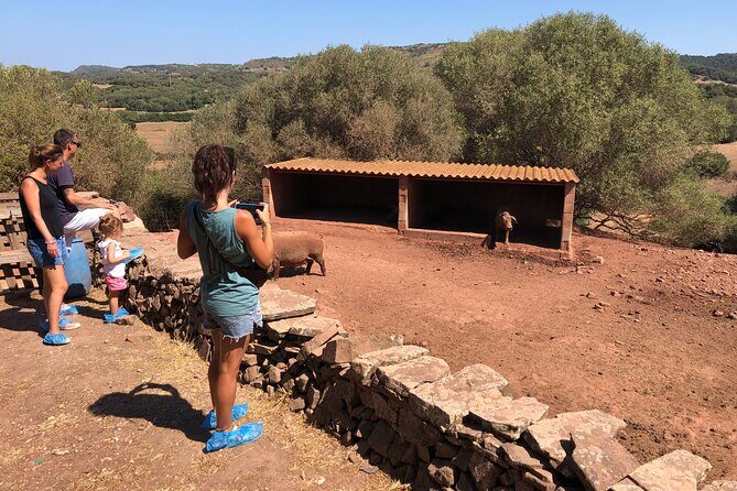 Menorca: Cheesemaking and Farm-Fresh Product Tasting - Experience Highlights