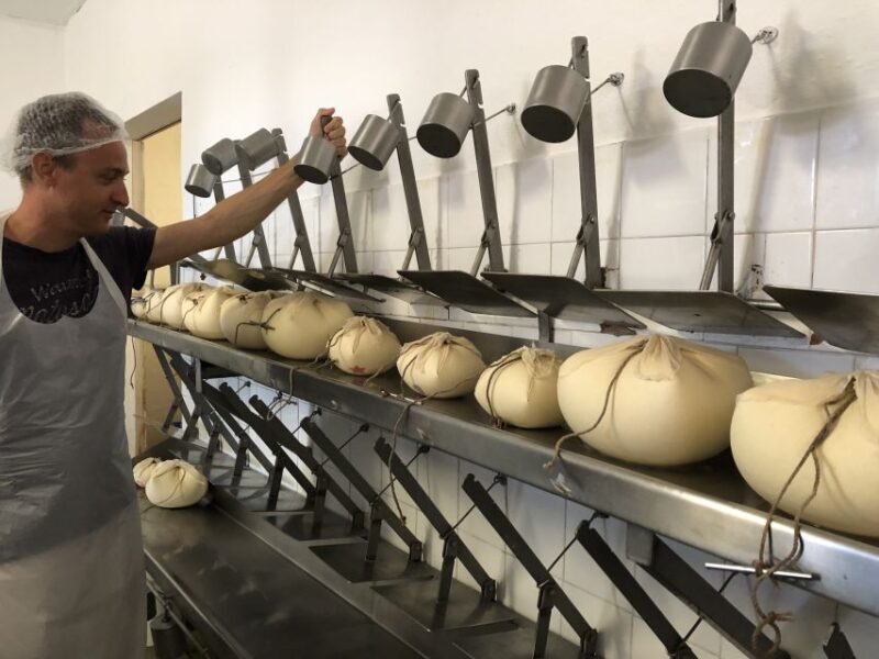 Menorca: Cheesemaking and Farm-Fresh Product Tasting - Who Will Enjoy This Experience?