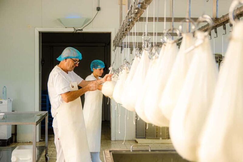 Menorca: Guided visit to the Subaida cheese factory, - Key Points