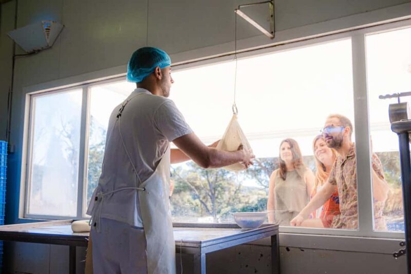 Menorca: Guided visit to the Subaida cheese factory, - A Closer Look at the Experience