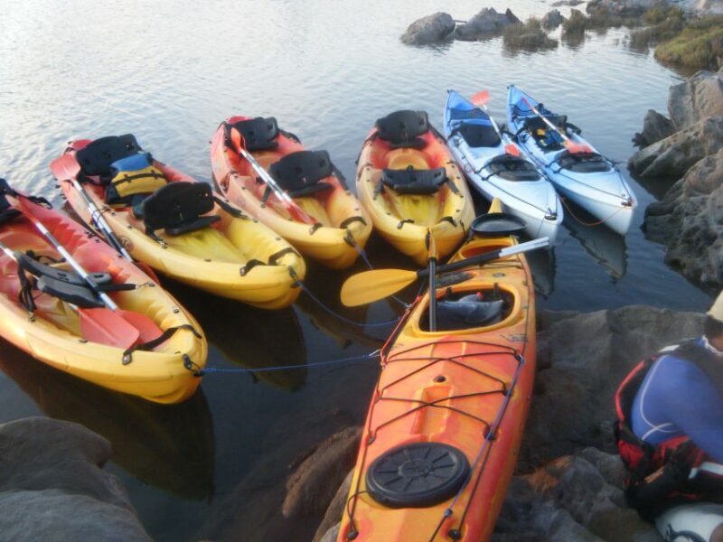 Menorca: Half-Day Kayak Excursion in Fornells - The Experience in Detail  