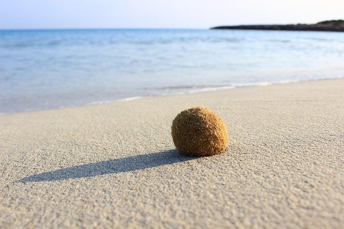 Menorca: South Coast Boat Trip with Lunch - Final Thoughts