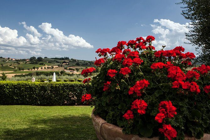 Menu with a View in the enchantment of the Tuscan hills - Who Will Love This Experience?  