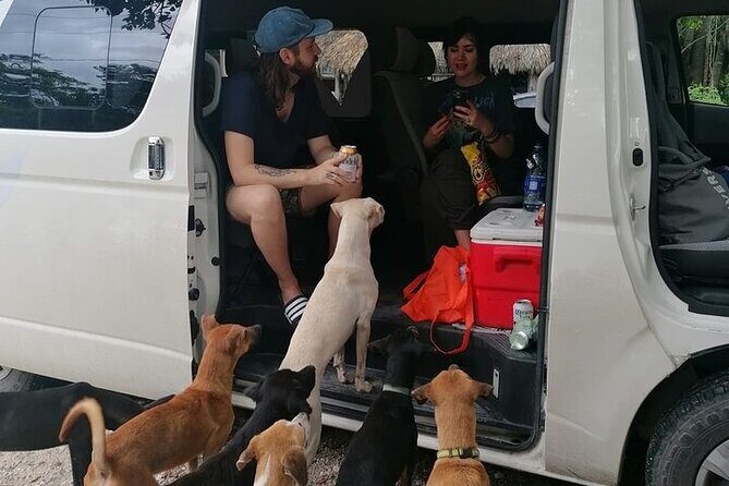 Merida Airport Private Transportation - Who Will Benefit Most?