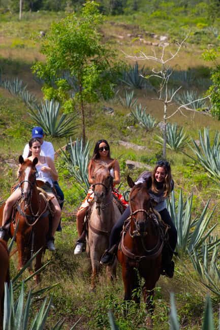 Mérida: Jungle & Cenotes Tour with Horseriding & Lunch - The Yucatecan Meal at Restaurante KIH