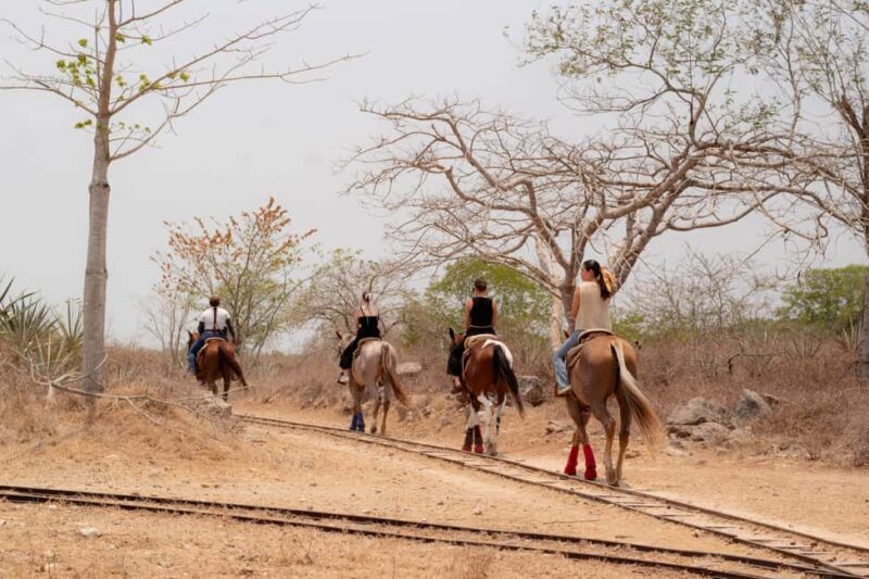 Mérida: Jungle & Cenotes Tour with Horseriding & Lunch - How the Tour is Organized