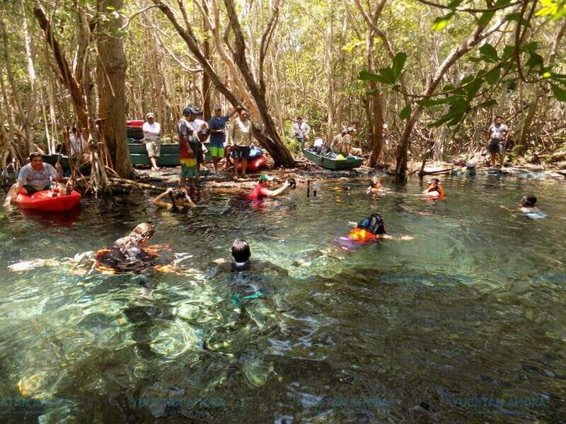 Merida: Kayaking and Bird Sanctuary in Sisal - An In-Depth Look at the Experience