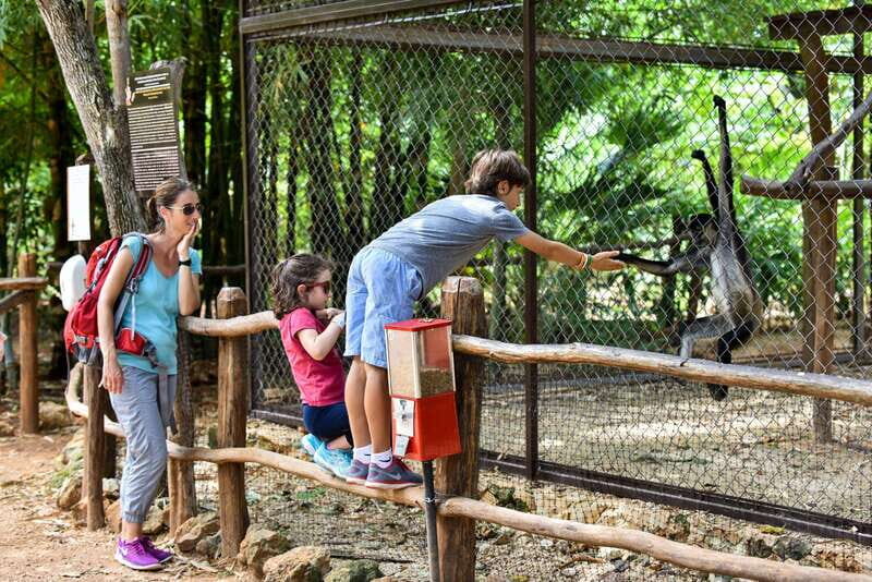 Mérida: Uxmal and Chocolate Museum Choco-Story - What to Bring and What to Expect