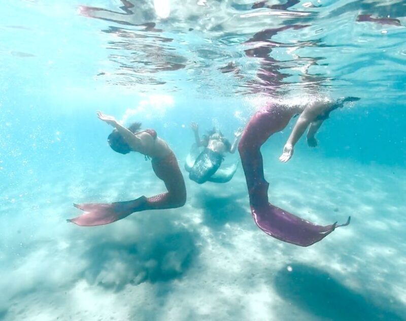 Mermaid Experience - Equipment and Comfort