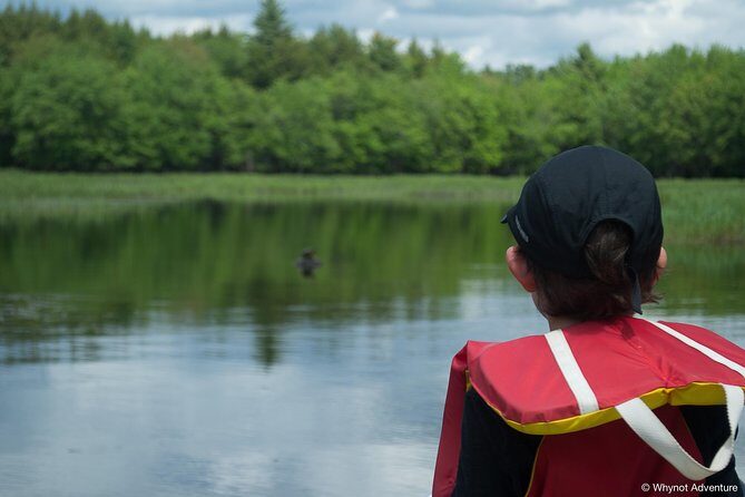 Mersey River Quickie Adventure - 2 Hours - Discovering Kejimkujik’s Best Paddling Spot