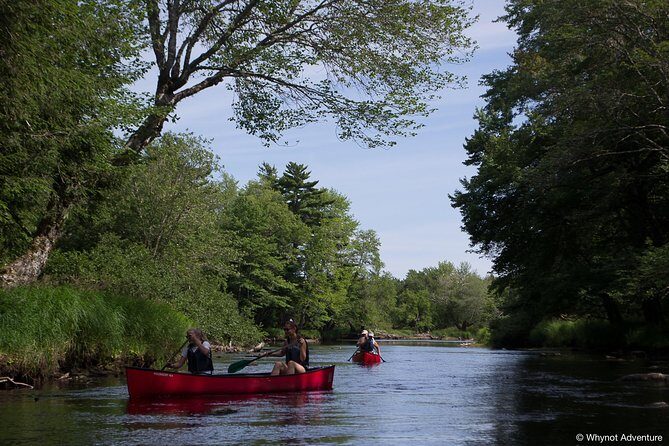 Mersey River Quickie Adventure - 2 Hours - Who Should Consider This Tour?