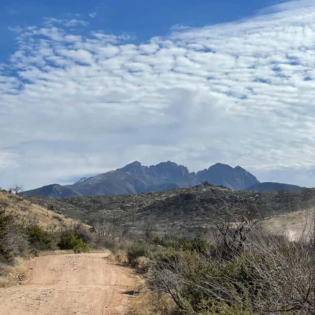 Mesa, AZ: Four Peaks Wilderness Off-Road Tour with Lunch - What to Expect from This Off-Road Adventure
