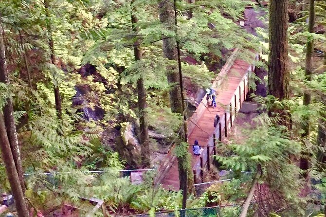 Mesmerizing Nature Walk in Lynn Canyon Park - Final Thoughts: Who Will Love This Experience?