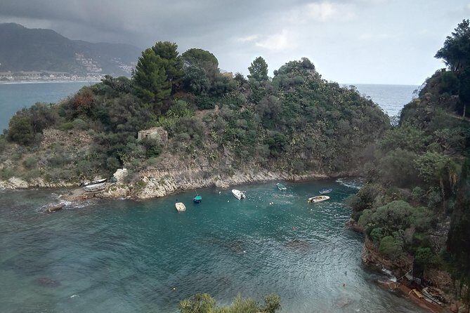 Messina Shore Special Tour of Taormina and Castelmola plus Panoramic Lunch - Who Should Book This Tour?